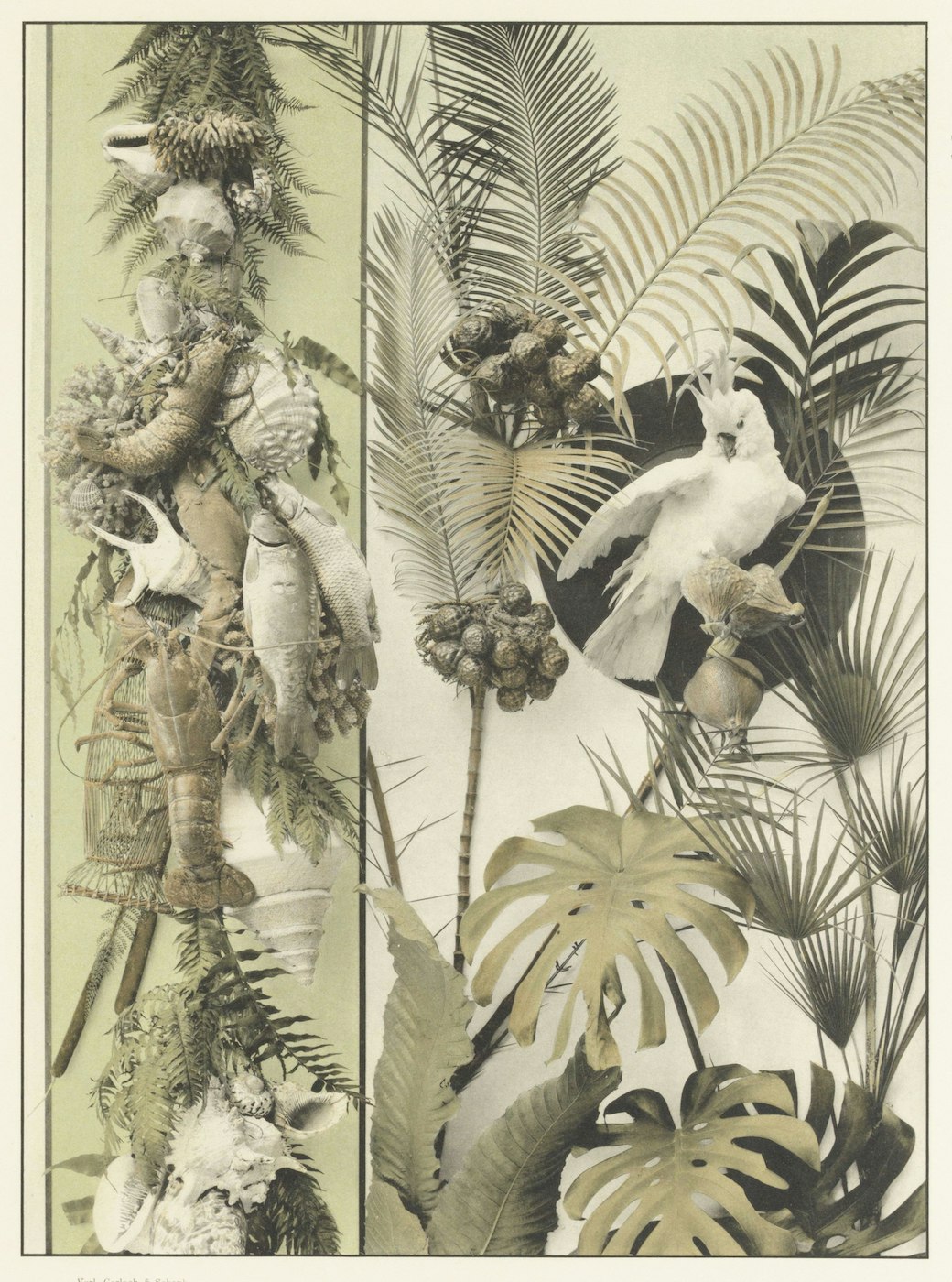 Recorded Dialogue by Addison Zeller – hexliterary